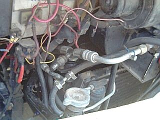 216_p2145.jpg