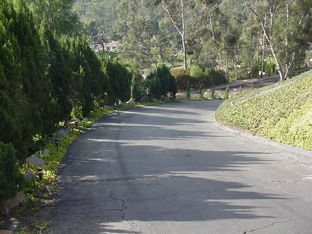 773_p8662.jpg
